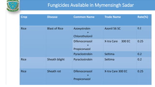 Fungicides available in local market | PPTX