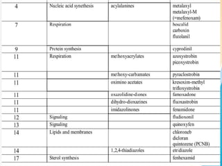 Fungicides, Classification, FRAC MoA.pptx