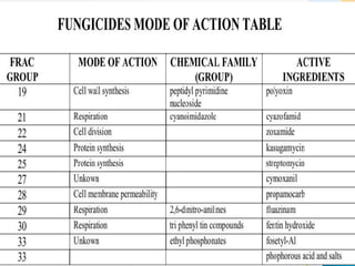Fungicides Mode Of Action