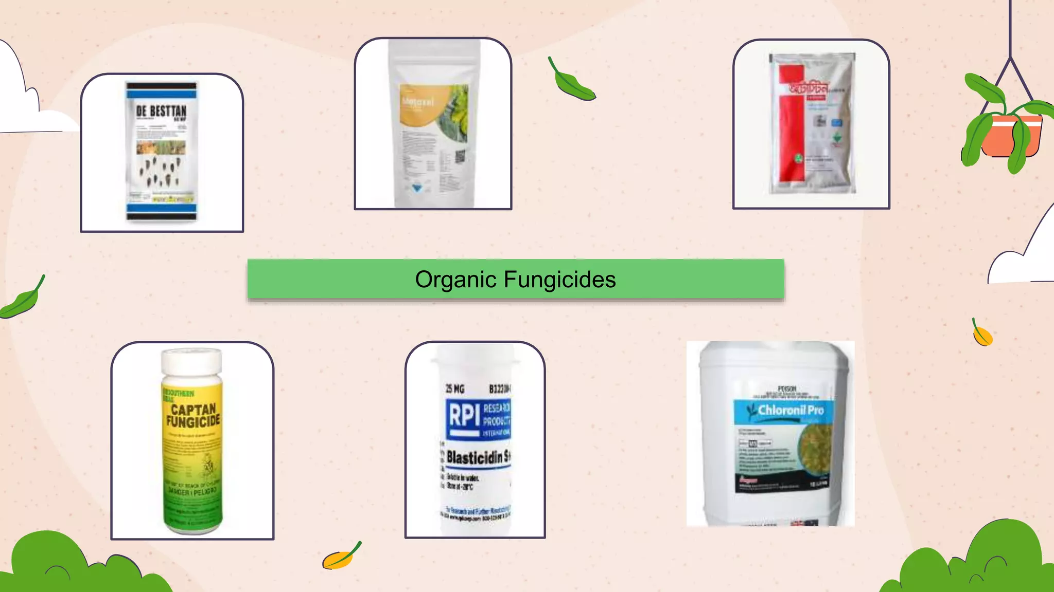 Fungicides ppt.pptx