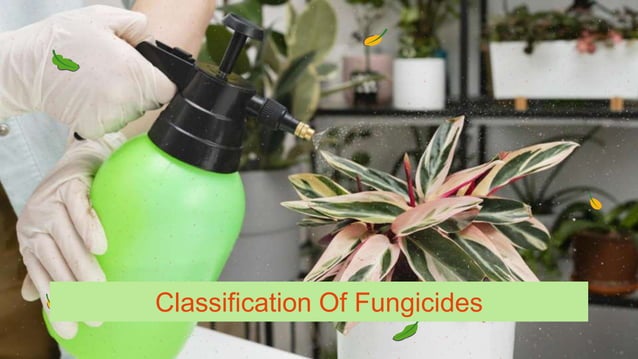 Fungicides ppt.pptx | Gardening | Home & Garden