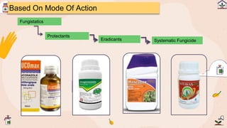 Fungicides ppt.pptx