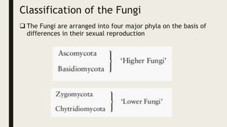 Fungi Class2.pptx