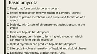 Fungi Class2.pptx