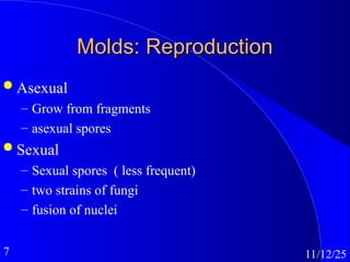 Concepts of fungal classificatioooon.ppt