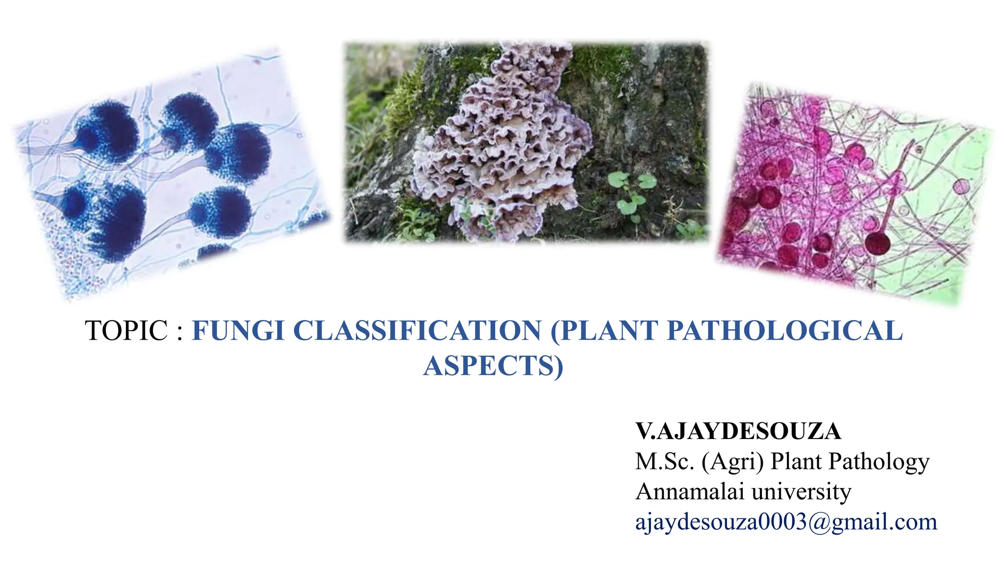Fungi classification plant pathology.pptx