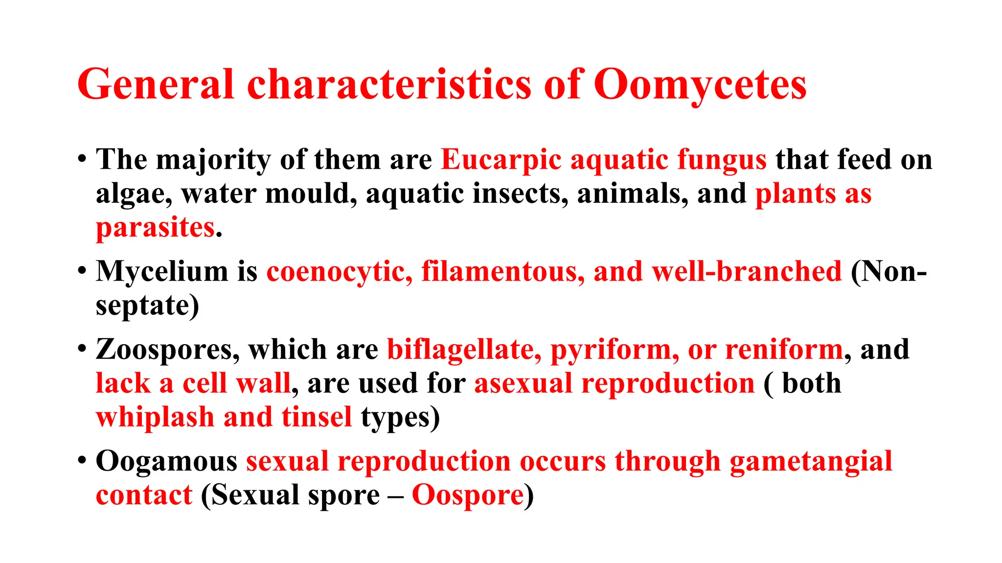 Fungi classification plant pathology.pptx