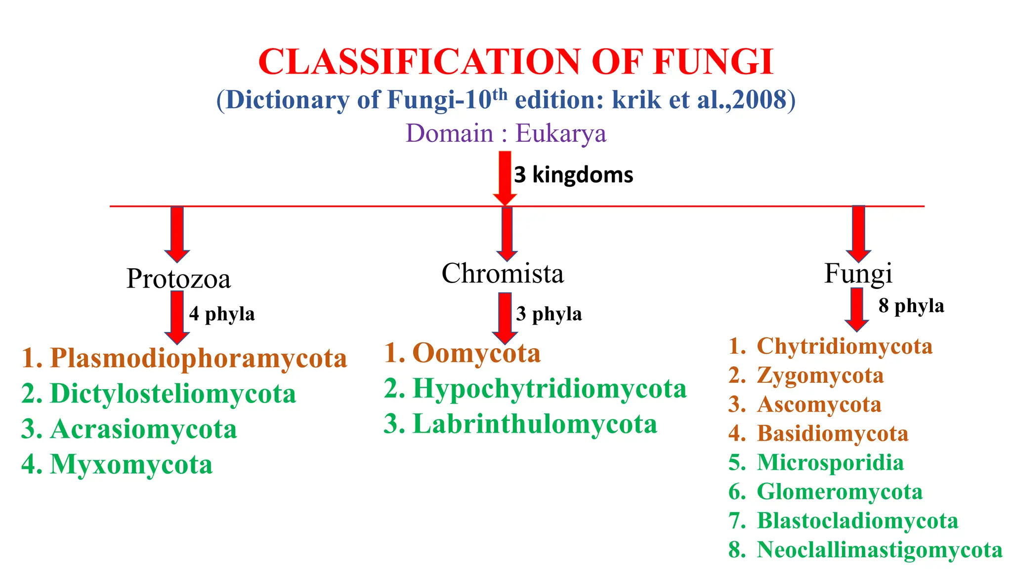 Fungi classification plant pathology.pptx