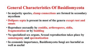 Fungi classification plant pathology.pptx