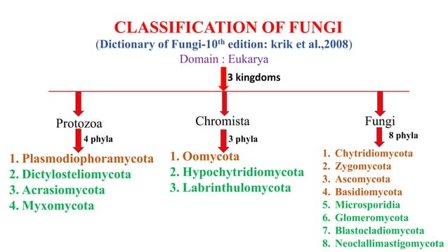 Fungi classification plant pathology.pptx