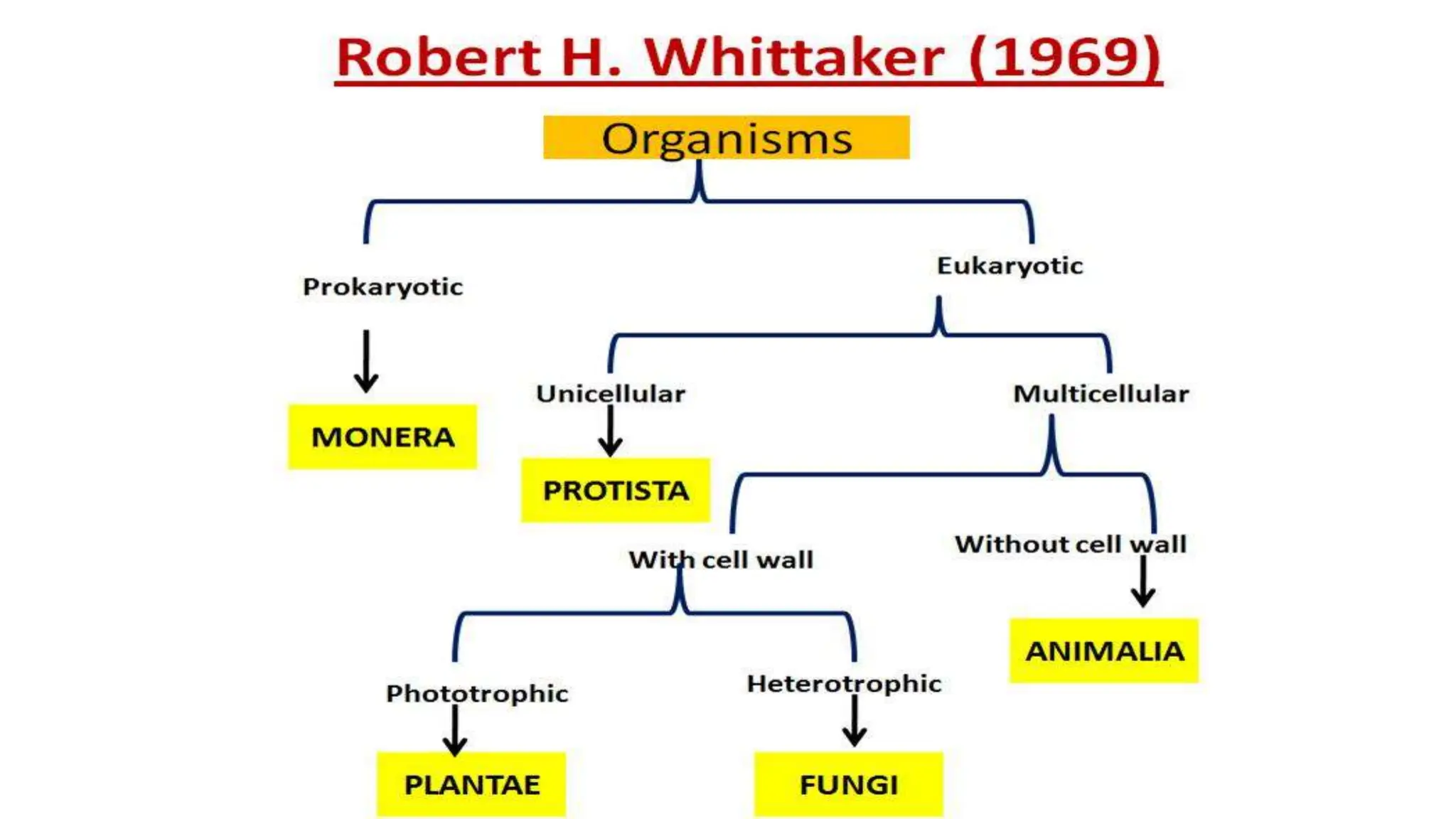 Fungi classification plant pathology.pptx