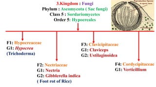 Fungi classification plant pathology.pptx