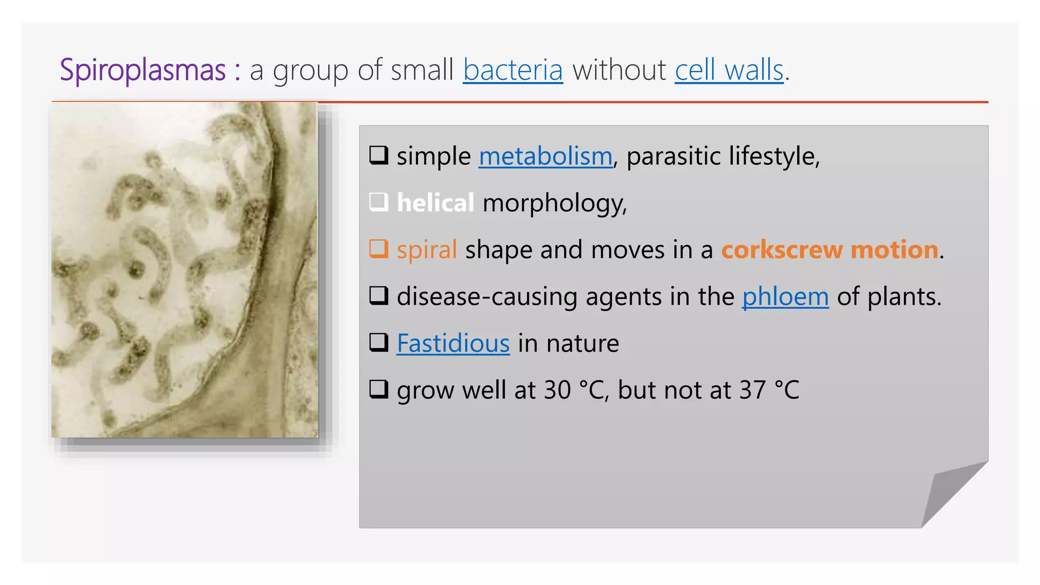Introduction, importance and general characters of fungi, bacteria ...