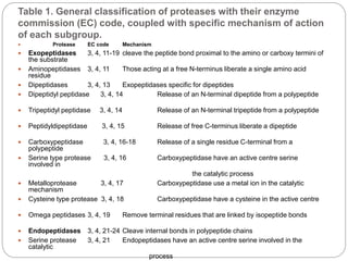 industrial applications of fungal proteases | PPT