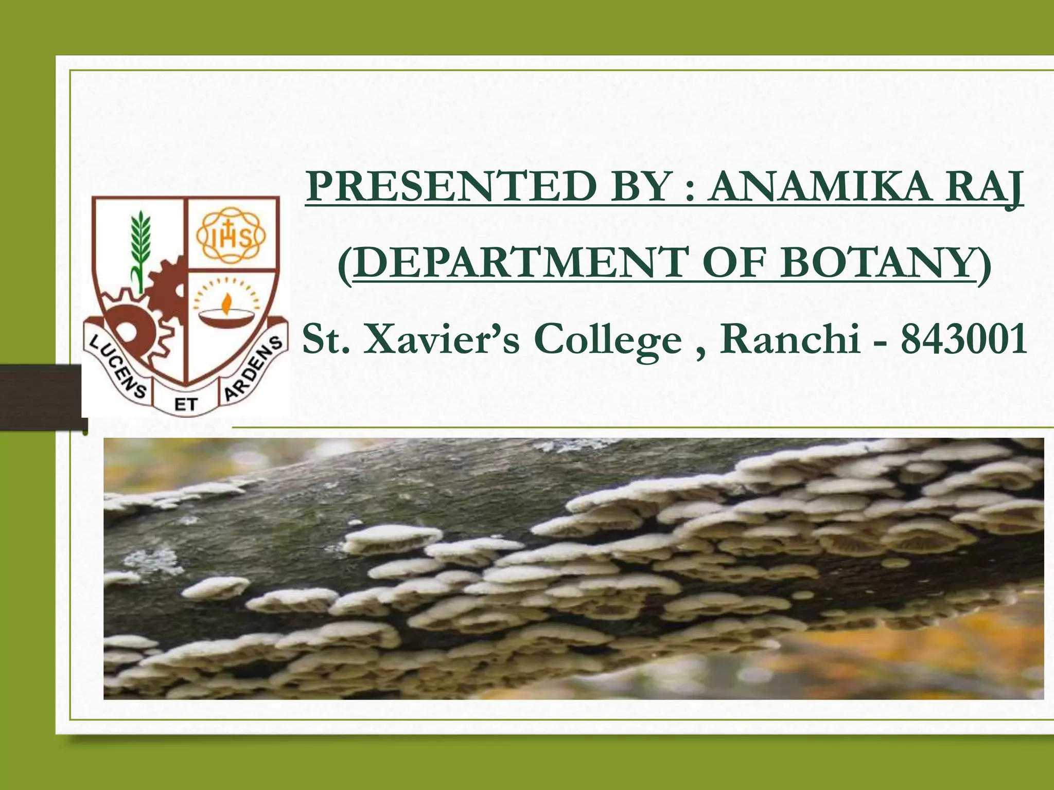 KINGDOM FUNGIII - ITS HYPHAL MODIFICATIONS | PPTX