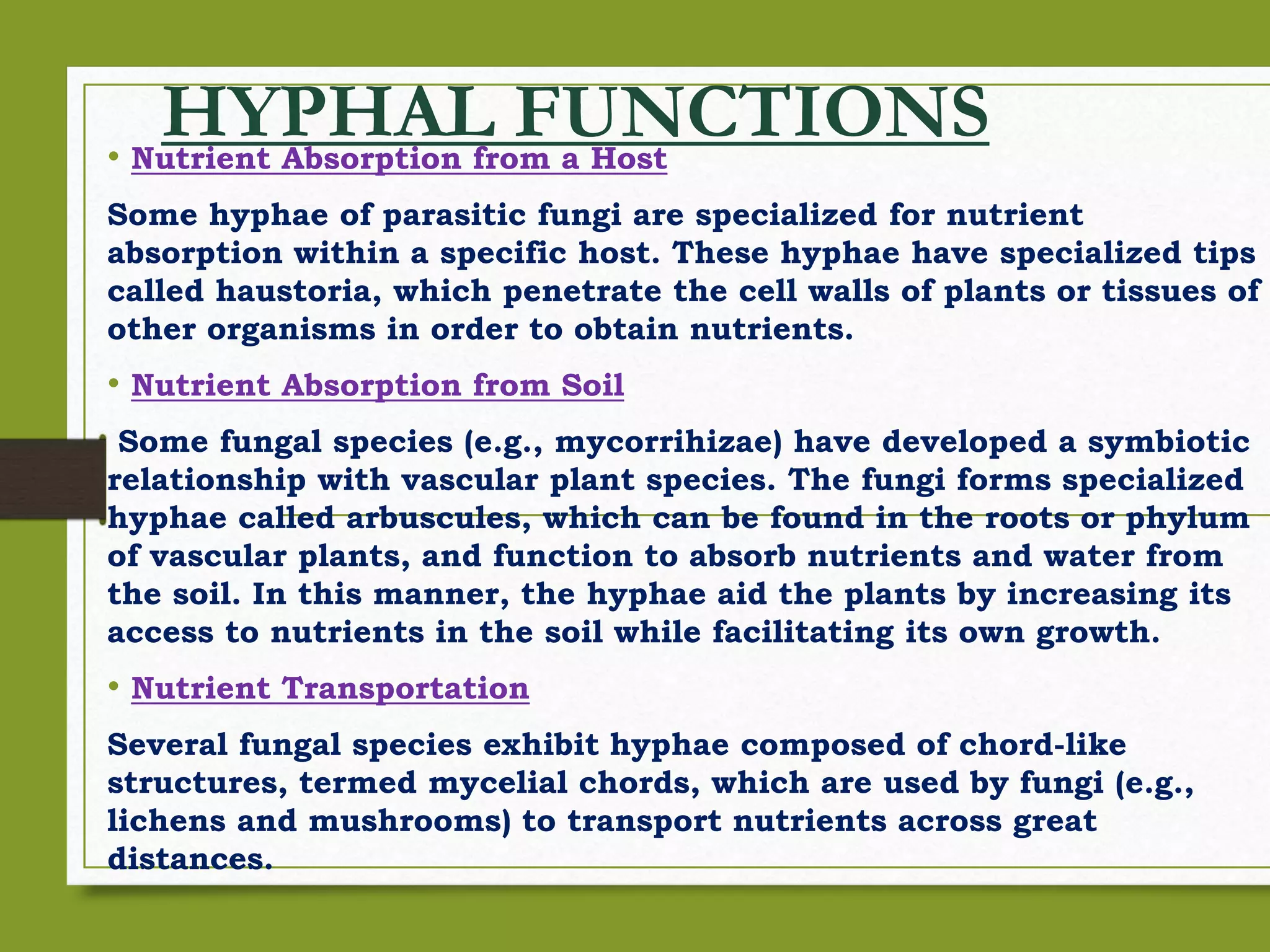 KINGDOM FUNGIII - ITS HYPHAL MODIFICATIONS | PPTX