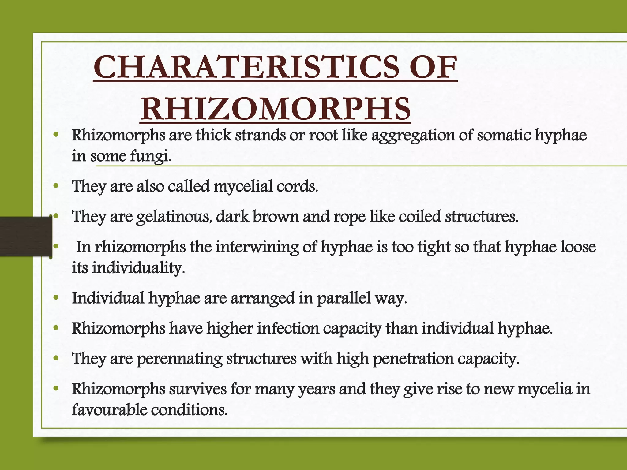 KINGDOM FUNGIII - ITS HYPHAL MODIFICATIONS | PPTX