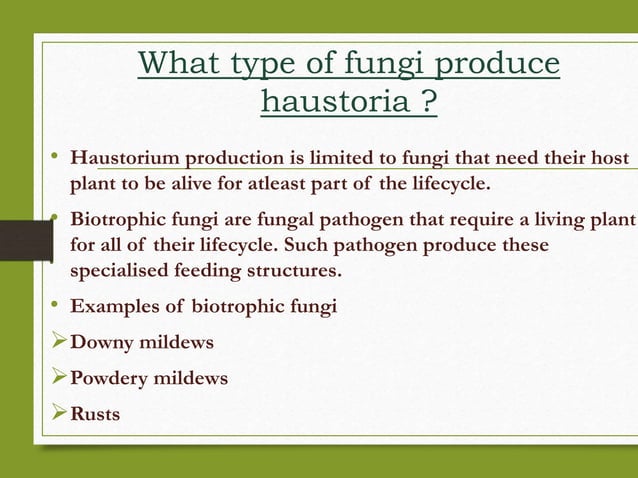 KINGDOM FUNGIII - ITS HYPHAL MODIFICATIONS | PPTX | Gardening | Home ...