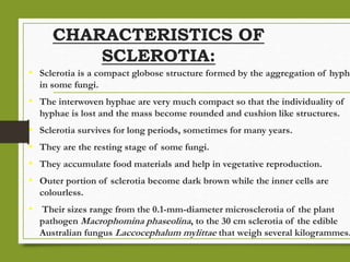 KINGDOM FUNGIII - ITS HYPHAL MODIFICATIONS | PPTX