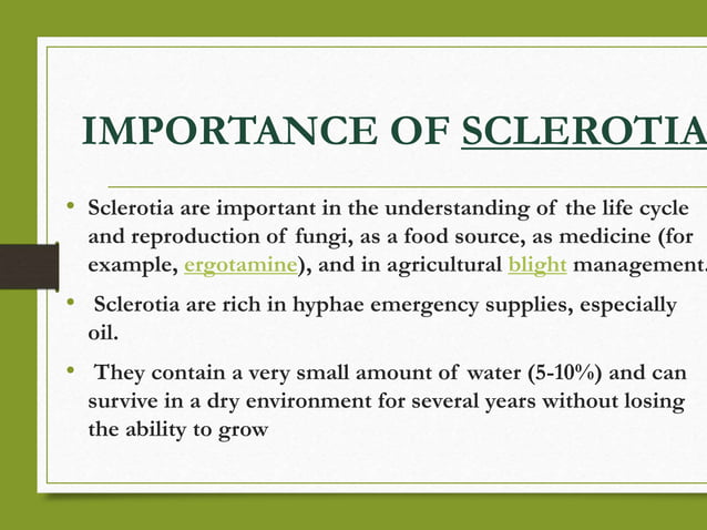 KINGDOM FUNGIII - ITS HYPHAL MODIFICATIONS | PPTX | Gardening | Home ...