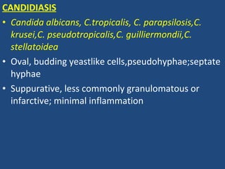 Fungi in tissue sections | PPT