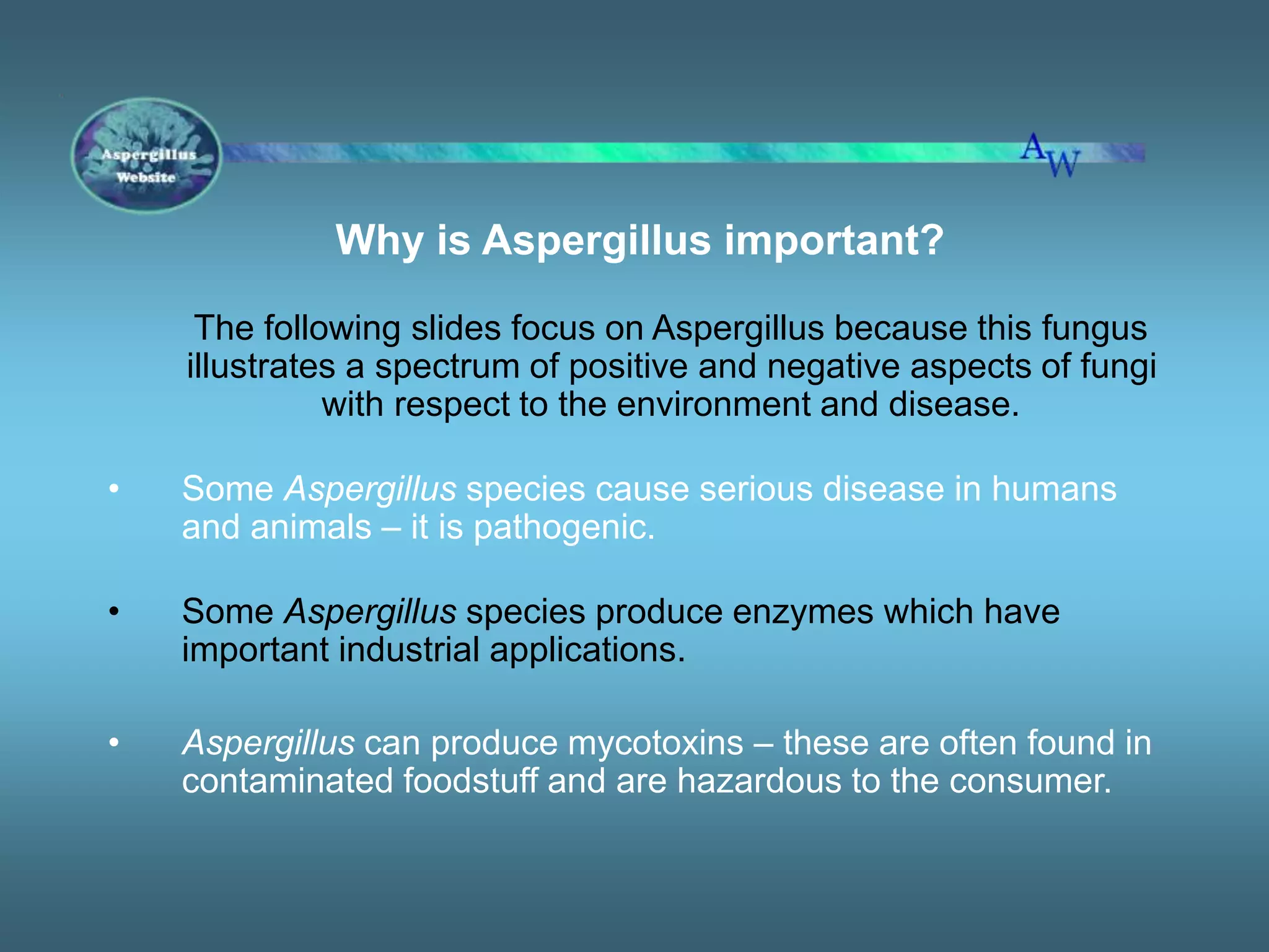 Fungi Introduction.ppt
