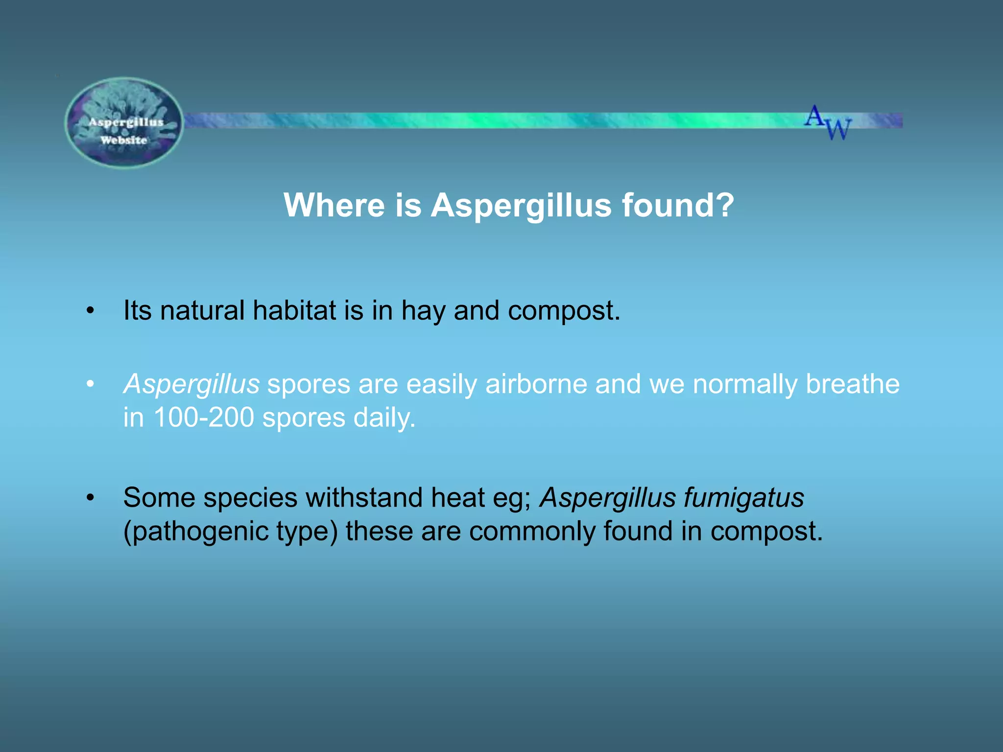 Fungi Introduction.ppt