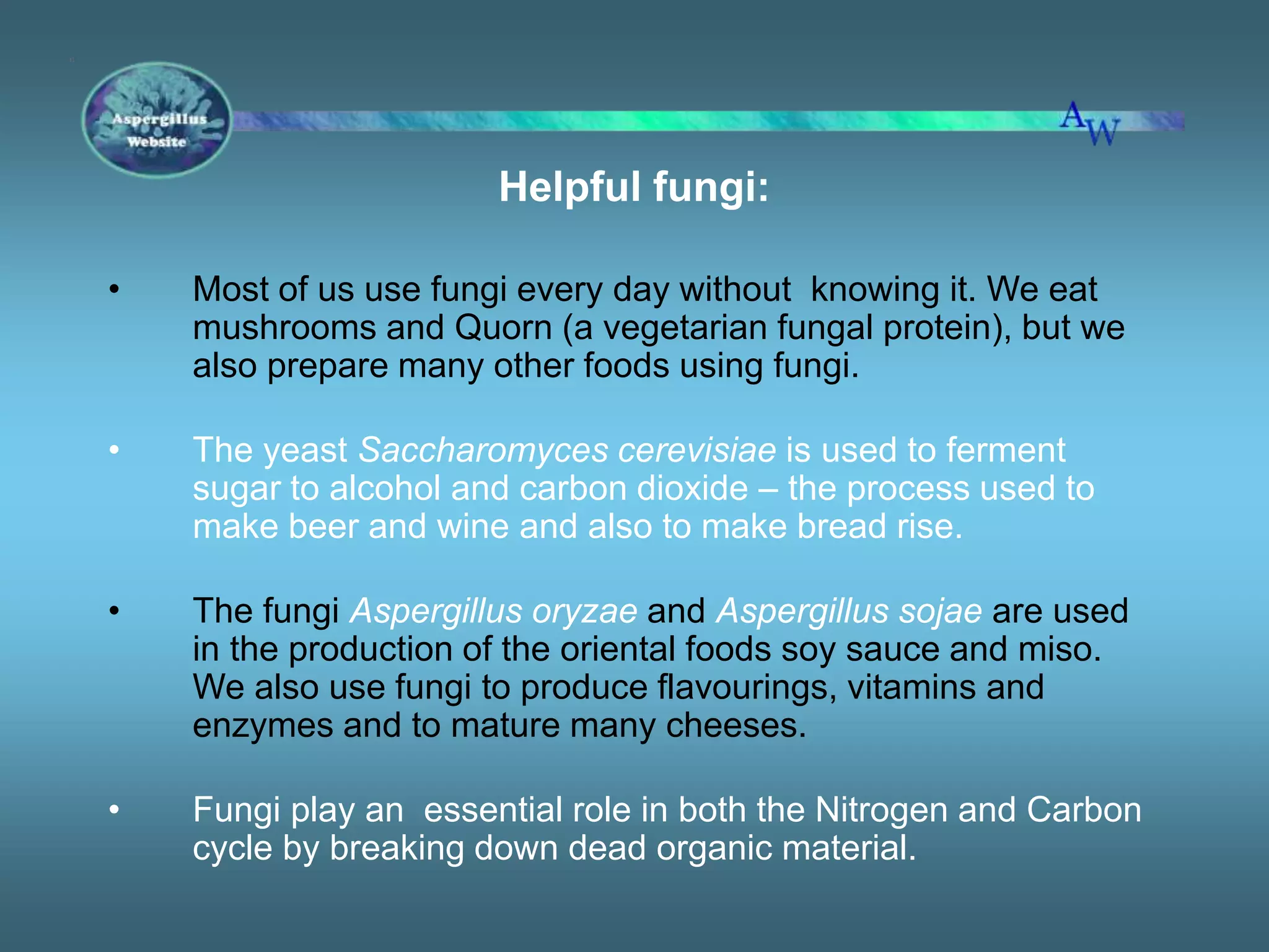 Fungi Introduction.ppt