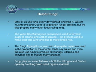 Fungi Introduction.ppt