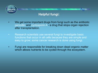 Fungi Introduction.ppt