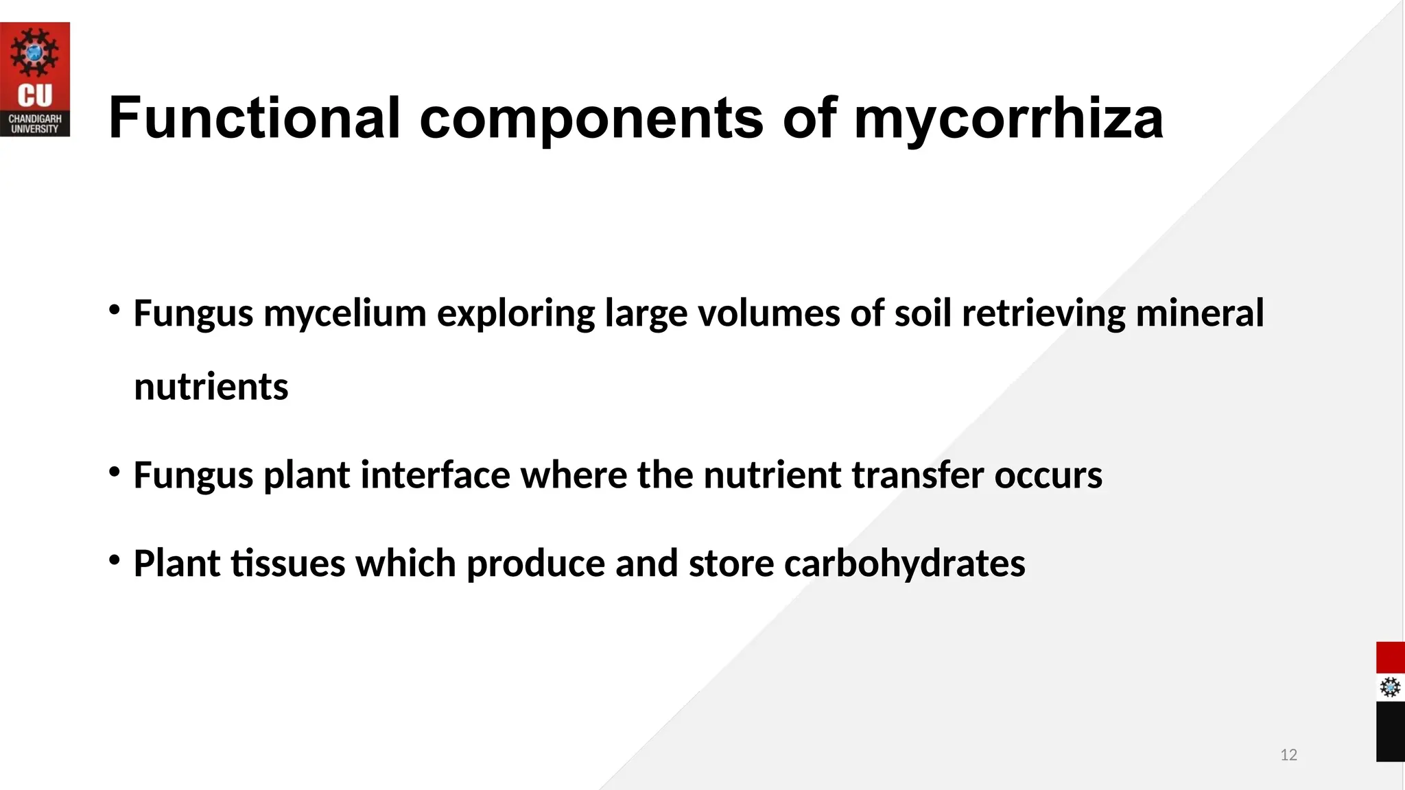 Fungi introduction , a brief introduction.pptx