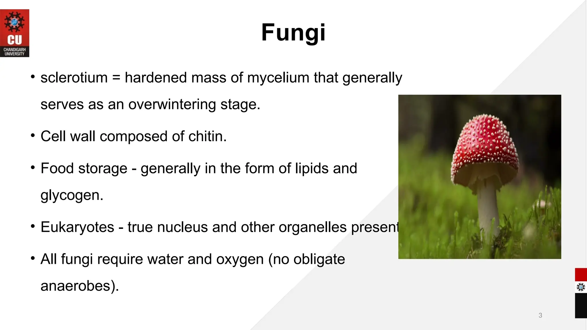 Fungi introduction , a brief introduction.pptx