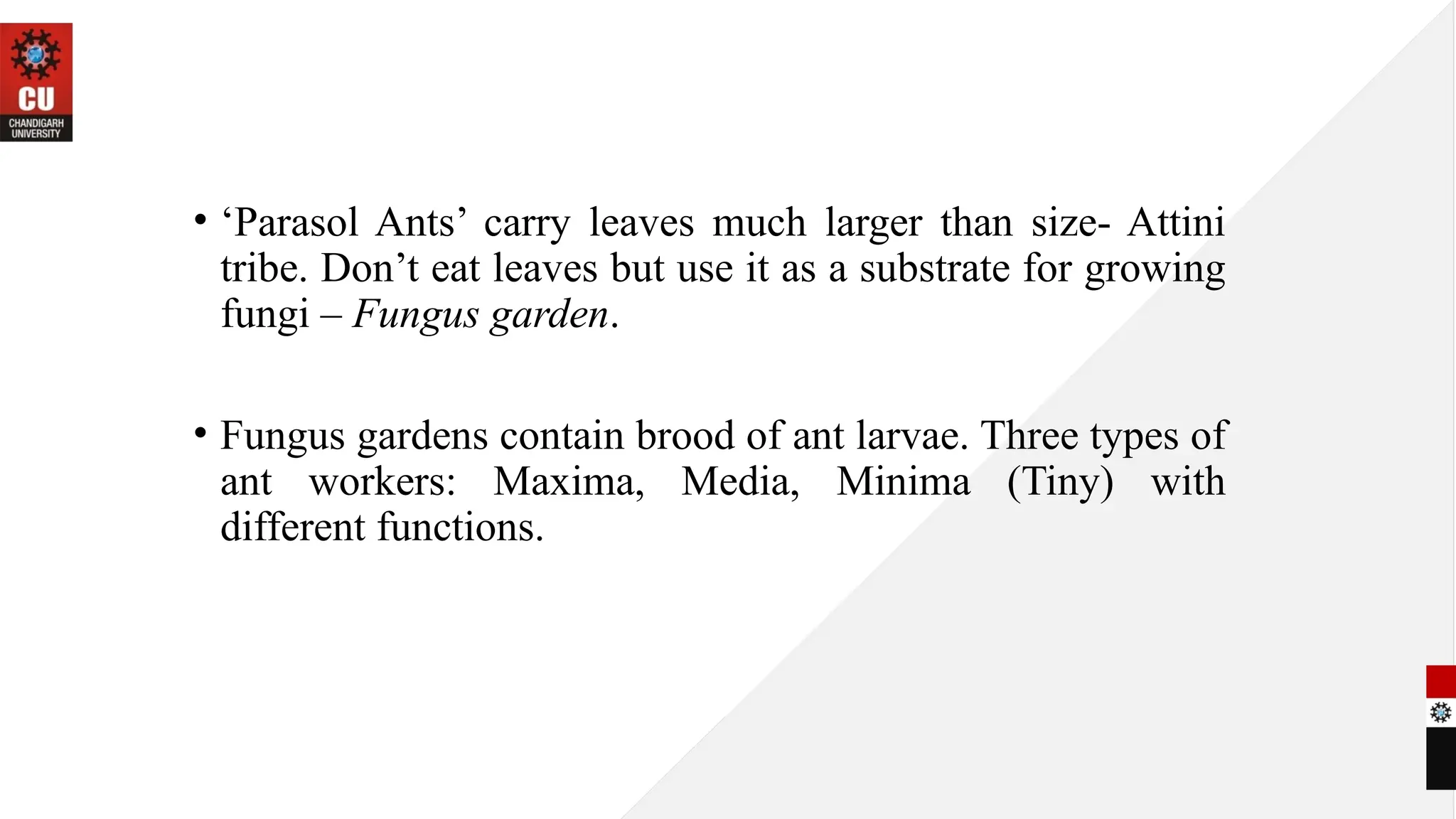 Fungi introduction , a brief introduction.pptx