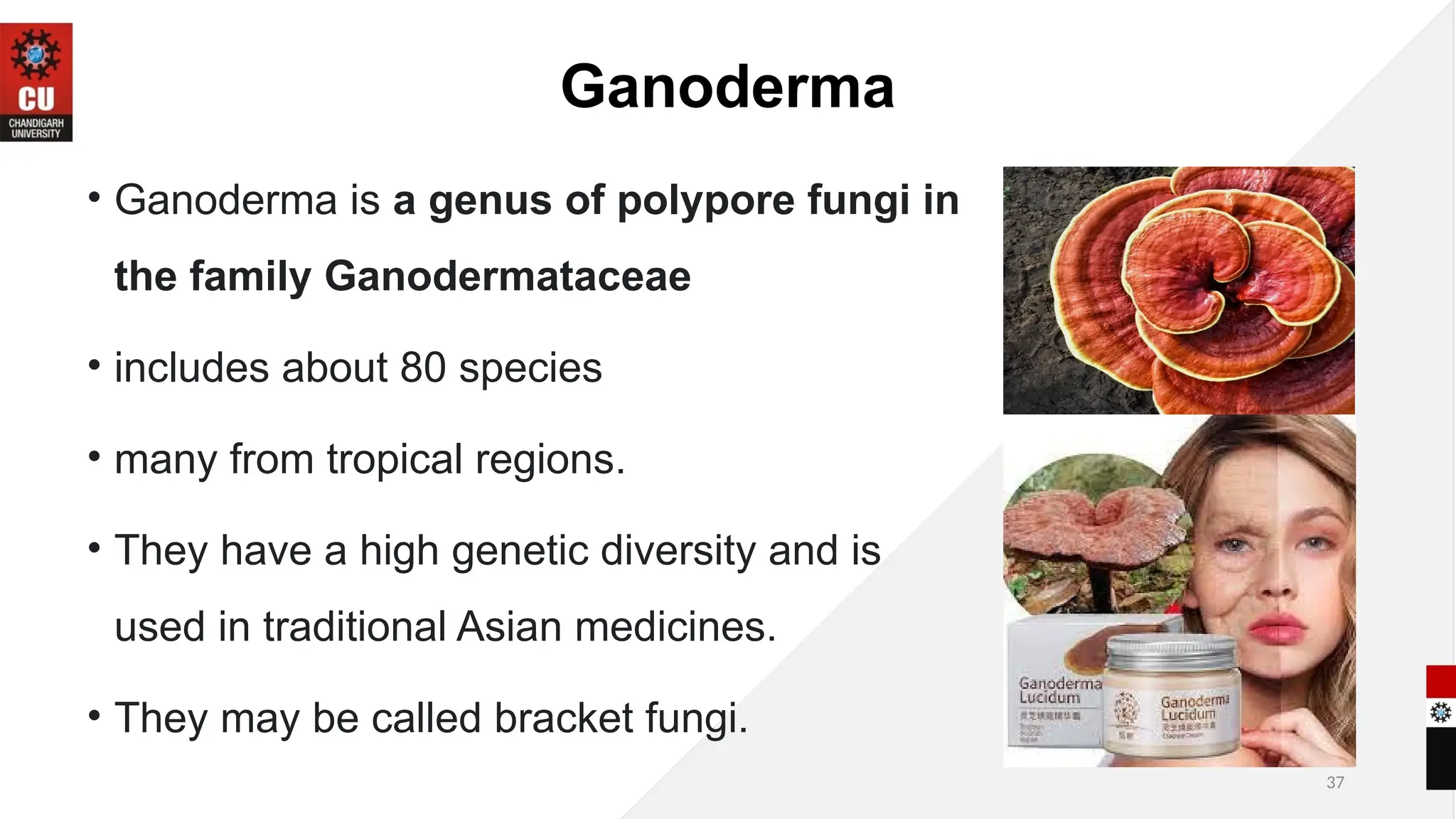 Fungi introduction , a brief introduction.pptx