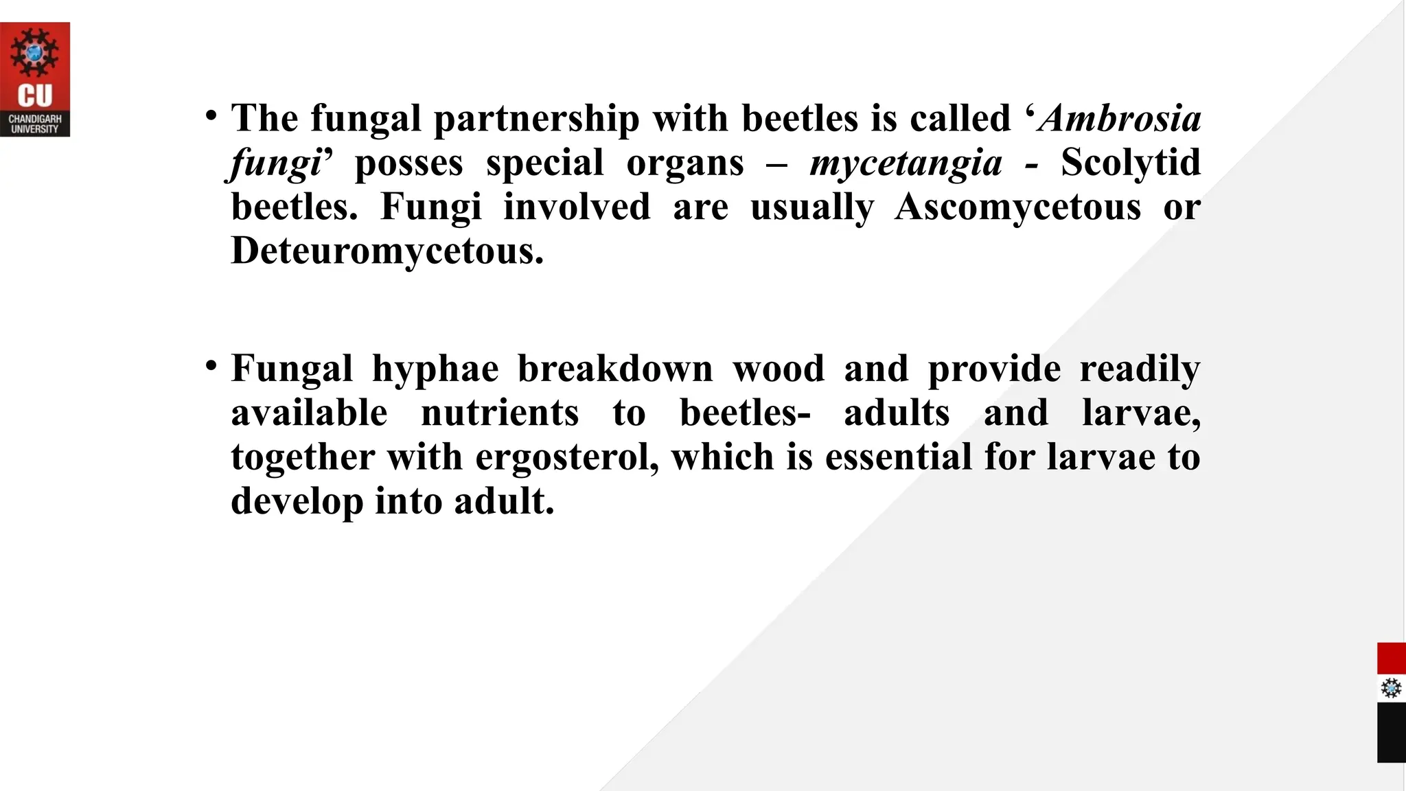 Fungi introduction , a brief introduction.pptx