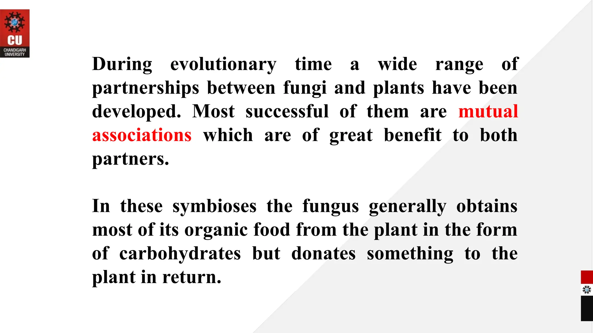 Fungi introduction , a brief introduction.pptx