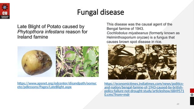 Fungi introduction , a brief introduction.pptx