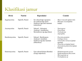 Fungi (jamur) | PPT