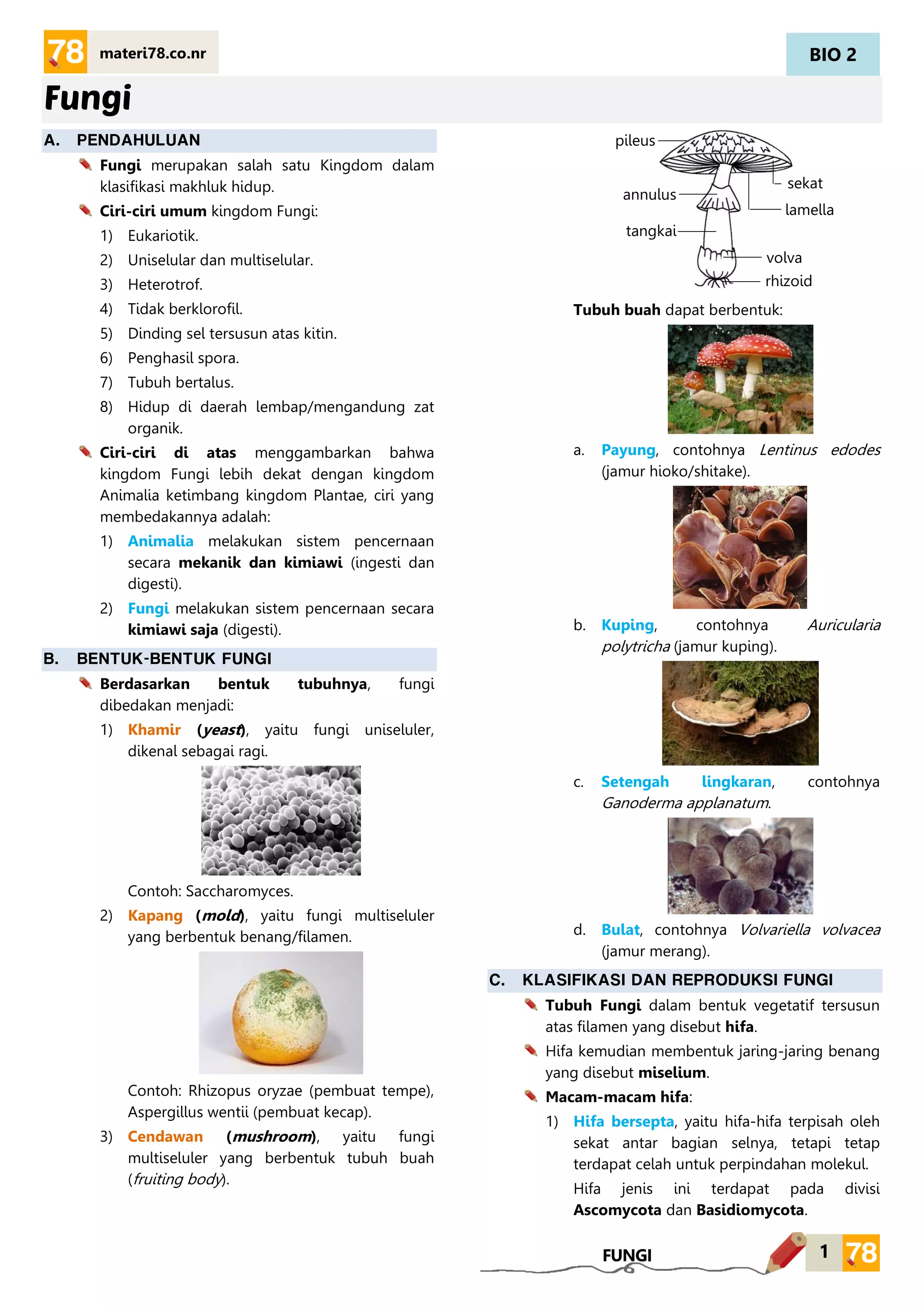 MATERI Fungi jamur KELAS XI SMA | PDF