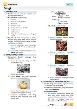 MATERI Fungi jamur KELAS XI SMA | PDF