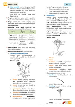MATERI Fungi jamur KELAS XI SMA | PDF