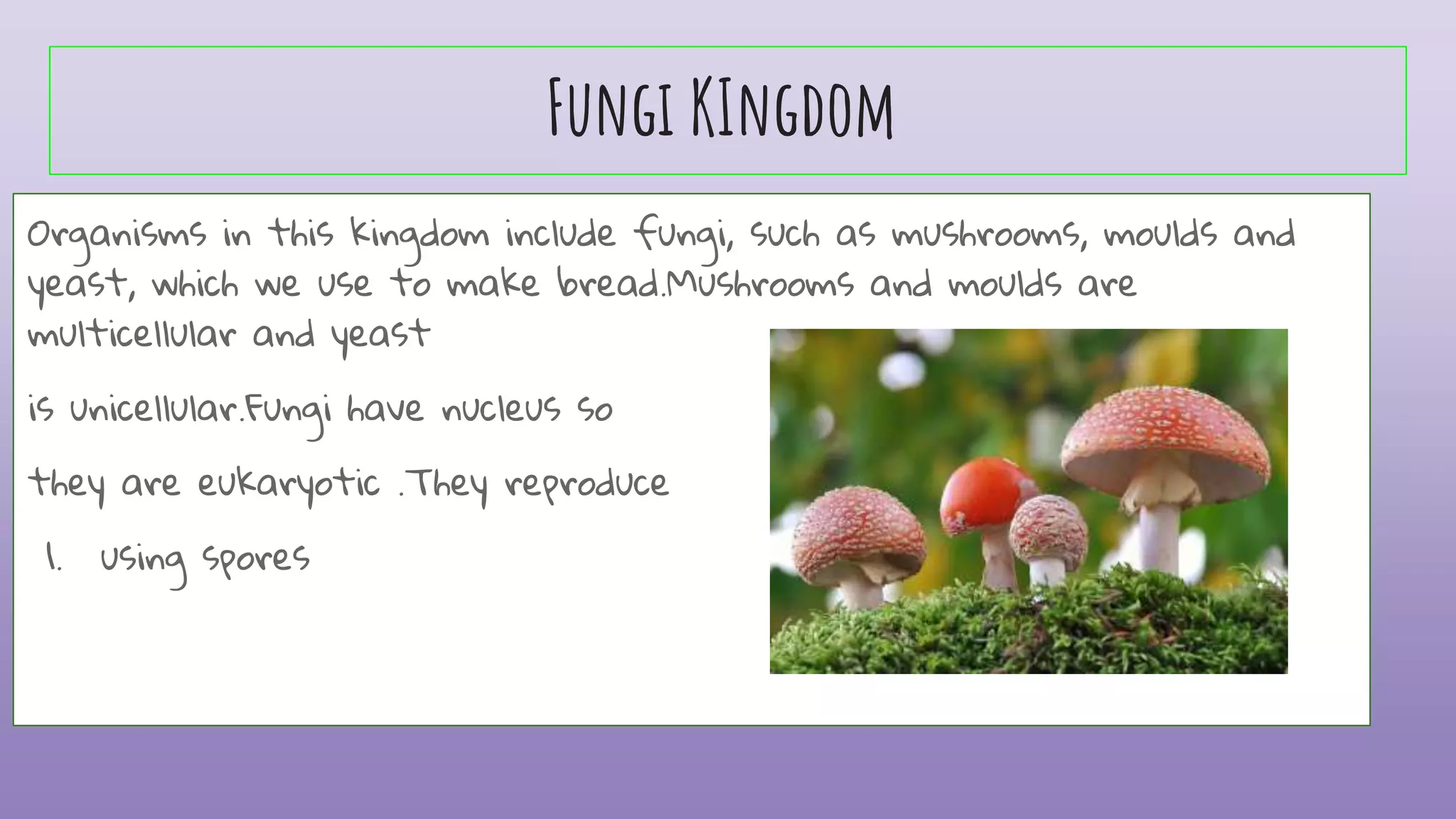 Fungi kindomg | PPTX