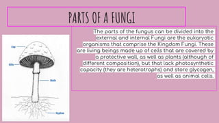 Fungi kindomg | PPTX