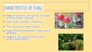 Fungi kindomg | PPTX