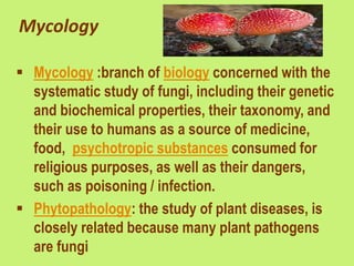 Mycology Fungi Kingdome.pptx FUNGI CELL | PPTX