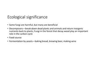 Fungi Lab PPT.pdf