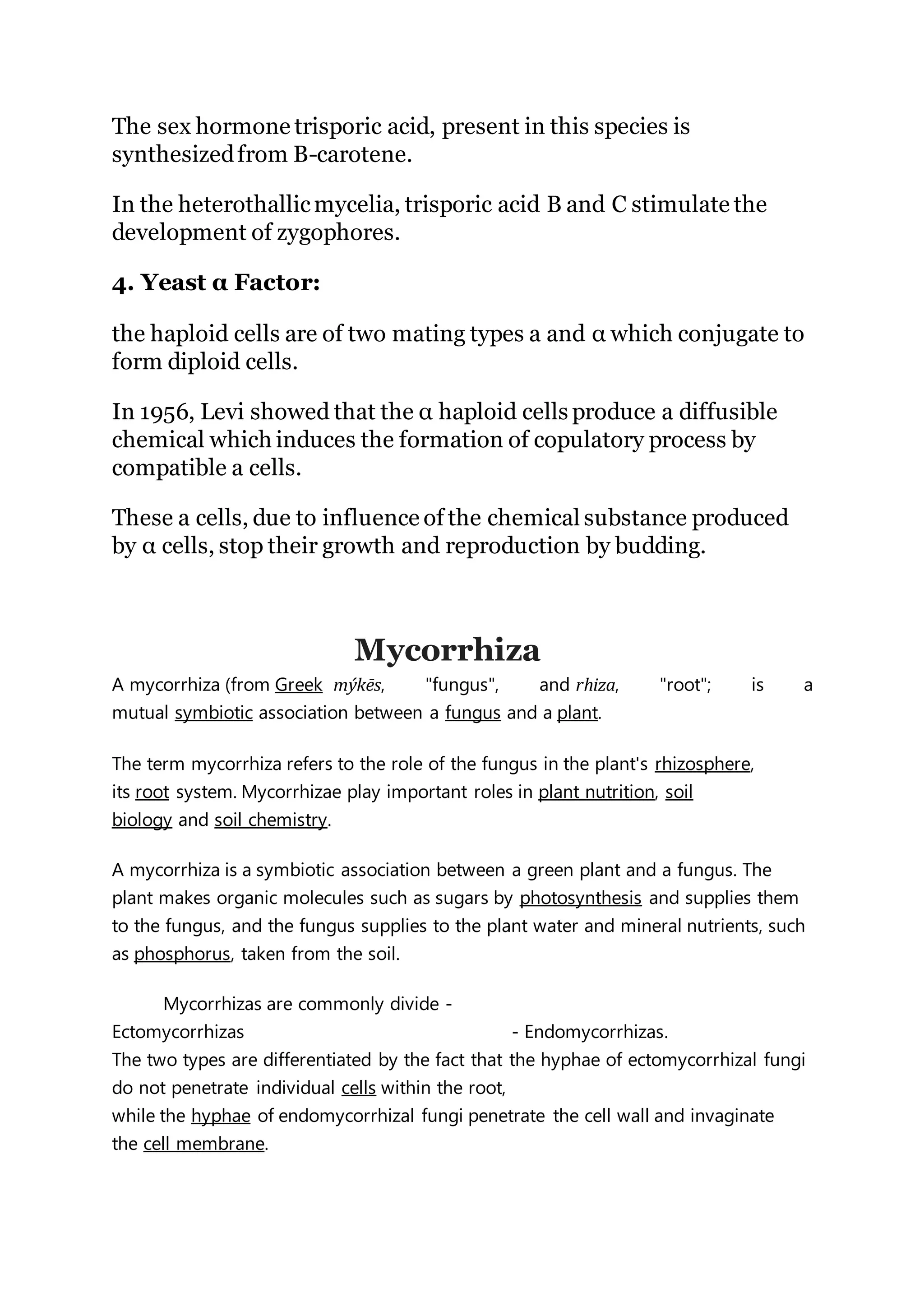 Fungi (Mycology) Important terms. | DOCX