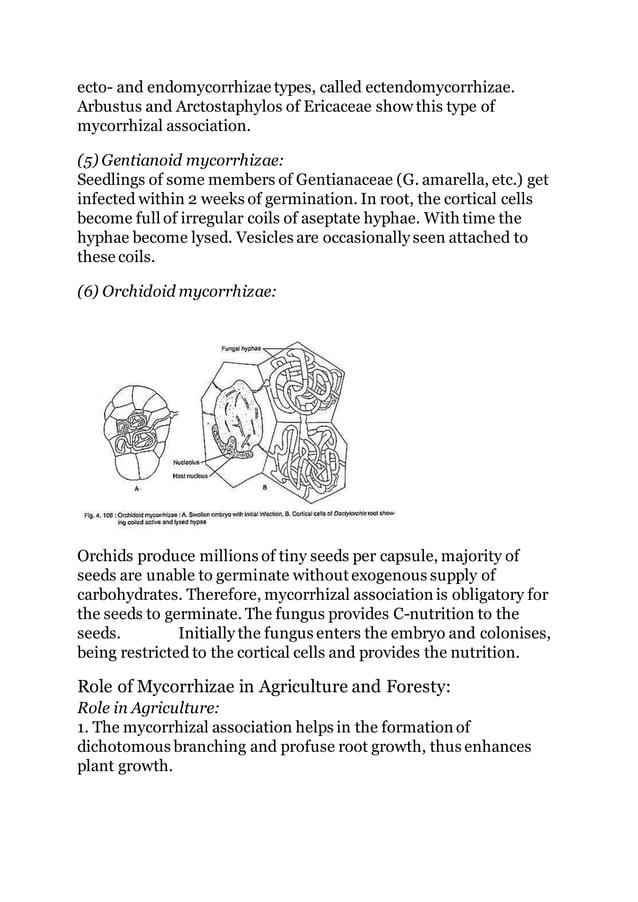 Fungi (Mycology) Important terms. | DOCX