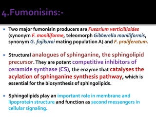 fungi mycotoxins, their classification and mode of action.pptx