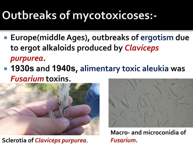 fungi mycotoxins, their classification and mode of action.pptx
